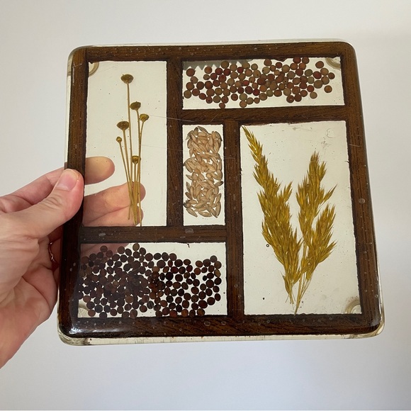 Accents | Vintage Lucite Trivet Pressed Flowers Wheat And Seeds | Poshmark